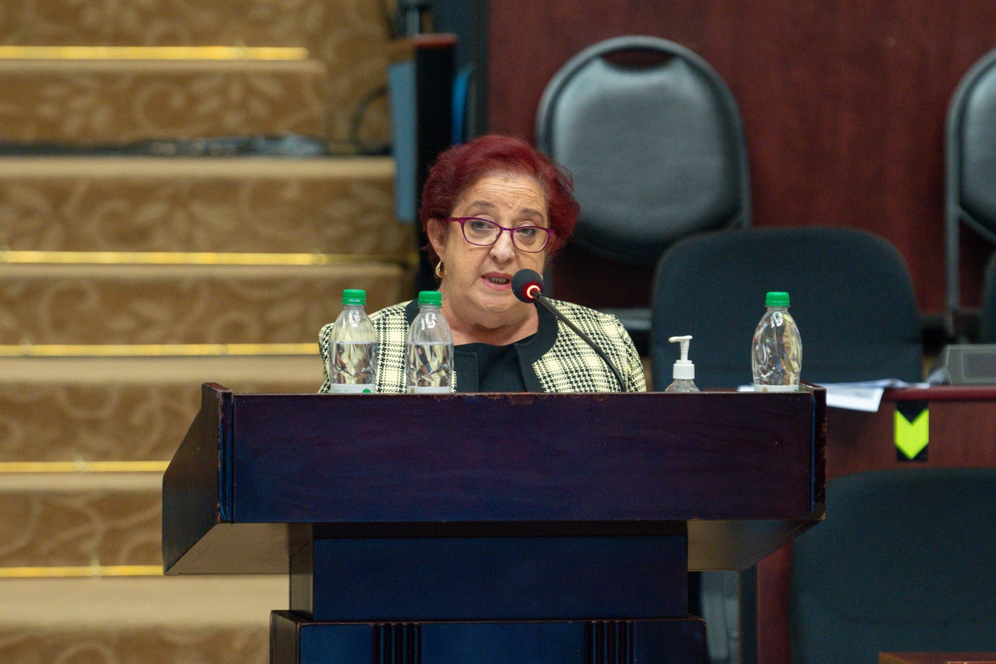 Government Chief Whip Gail Teixeira Defends Budget 2024 Amid Opposition ...