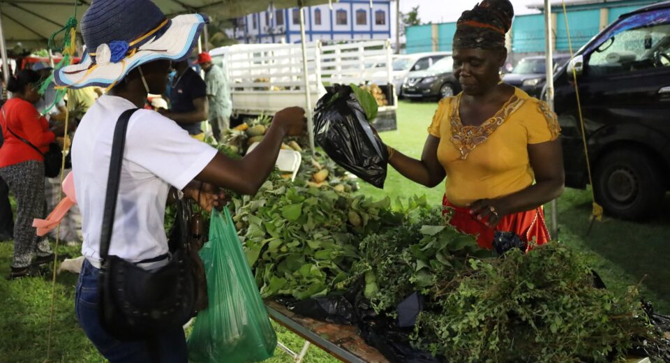 Linden Mayor Proposes Amnesty for Vendors – NCN Guyana